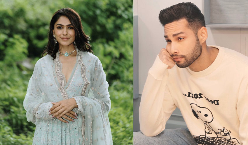 Bollywood Mascot : Siddhant Chaturvedi and Mrunal Thakur to Star in ...